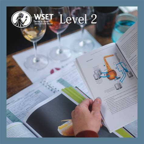 Online Wset Level 2 Award In Wine Course — The Wine And Spirit Archive