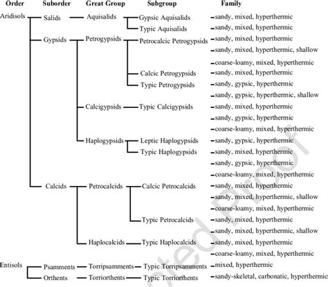 2 Soil Taxonomy Hierarchy From Reconnaissance Soil Survey Of Kuwait Download Scientific Diagram