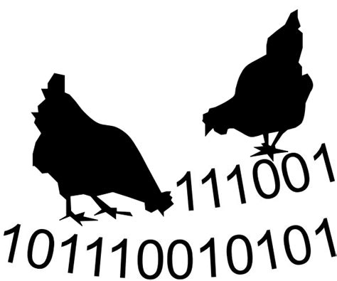 Chicken Scratch And Code A Blog By Michelle Zelechoski