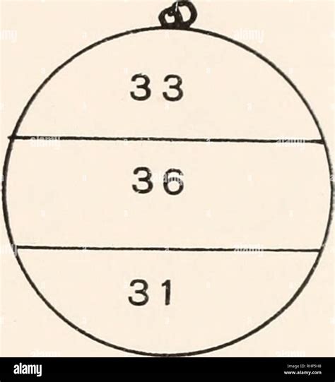 Relative Frequency Biology