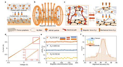 北京大学科学研究部