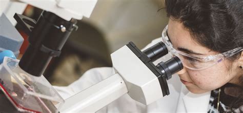 Biomedical Engineering Academics Wpi