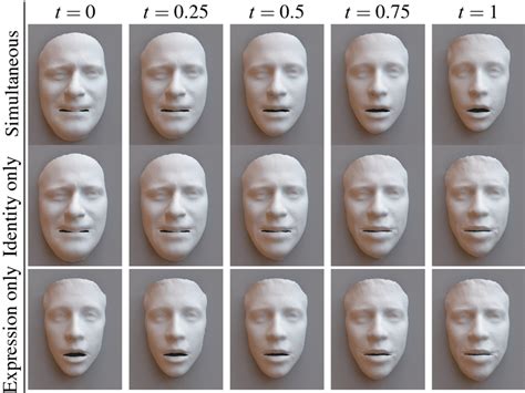 interpolation on the training set joint interpolation of identity and