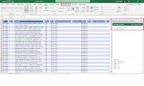 Business Central Editarea Datelor în Excel