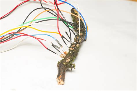 Unconventional Computing Laboratory Grows Its Own Electronics Hackaday