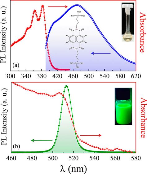 Unraveling Interfacial Photoinduced Charge Transfer And Localization In Cspbbr3 Nanocrystals