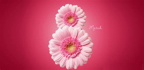 Эмэгтэйчүүдийн тухай ЭШЛЭЛҮҮД