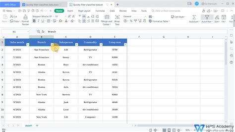 Quickly Filter Classified Data Wps Academy Free Office Courses