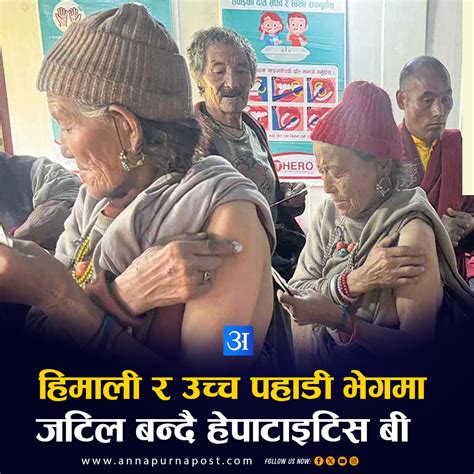 Annapurna गोरखाको हिमाली तथा उच्च पहाडी भेगमा हेपाटाइटिस बीको संक्रमण विकराल बन्दै गएको छ। वडा