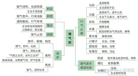执业药师中药二思维导图看着最全最完整 知乎