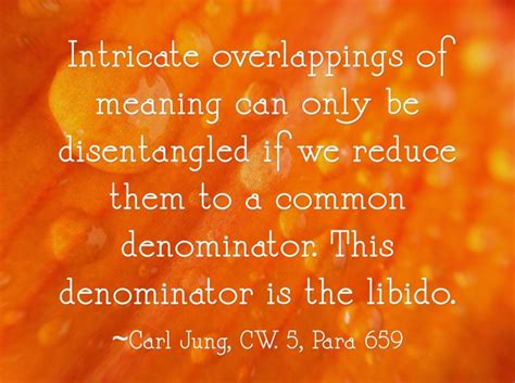 Intricate Overlappings Of Meaning Can Only Be Disentangled Quozio