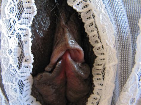 Beautiful Exotic Flower Porn Pic