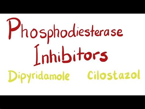 Free Video Phosphodiesterase Pde Inhibitors From Medicosis