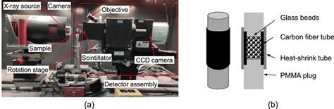 The Schematic Diagram Of The Scanning Setup A The Arrangement Of The Download Scientific