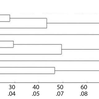 UPGMA Dendrogram Generated From The Matrix Of Genetic Distance By Nei Download Scientific