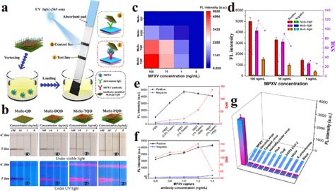 A Detection Principle Of The Dual Mode Ica Method B Photographs