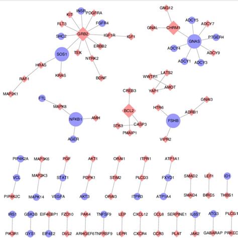 Pathway Based Gene Gene Interaction Network Between Gene Expression Download Scientific Diagram