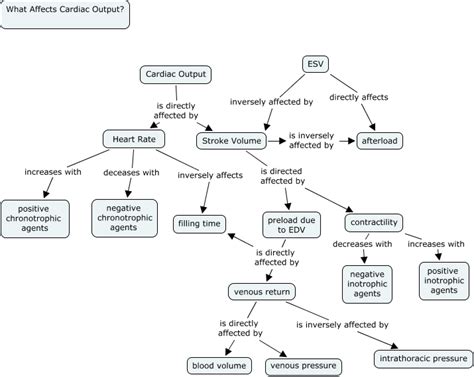 Cardiac Output Cmap
