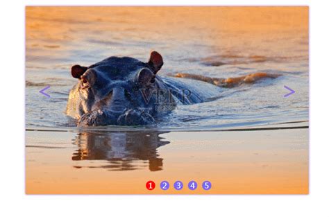 Web前端必学功法之一：轮播图web轮播图 Csdn博客