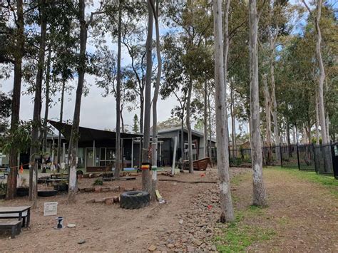 Tree Risk Assessments Identify Manage Tree Hazards