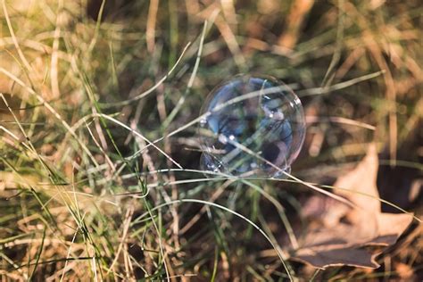 Premium Photo Bubbles On Grass