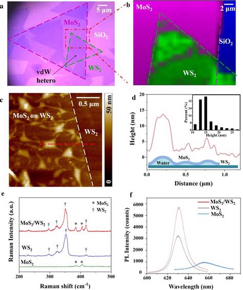 Different Interface Water Wetting Behavior In Mos2 Ws2 Download