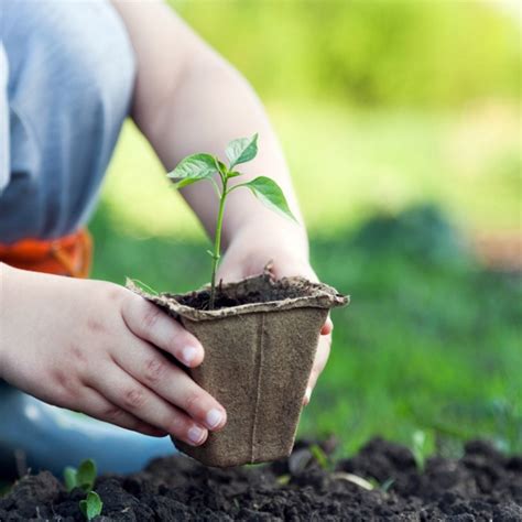 10pcs Seed Starter Pots Trays Kit 12 Hole Pulp See Grandado