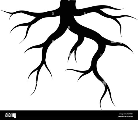 Root Vector Illustration Template Design Stock Vector Image And Art Alamy