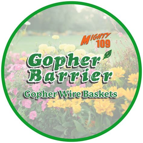 Gopher Barrier Gopher Wire Baskets Small Up To 3 Gallon 5 Pack