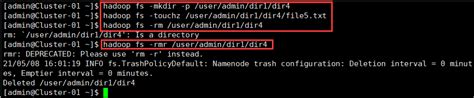 hadoop 熟悉常用的hdfs操作 hadoop的常用命令实验报告 csdn博客