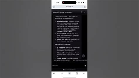 Sample Usage Of New Free Ladderly Chat Bot Learntocode Learnwithme