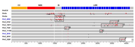Schematic Representation Of The Sequence Alignment Exons Of The Newly Download Scientific