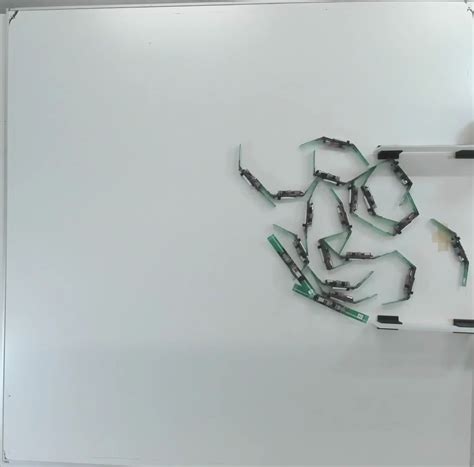 robot wing tracing keypoint detection dataset by test
