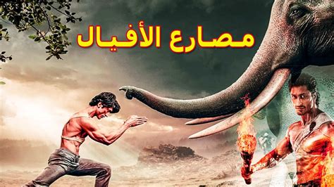 مقاتل أفيال يدافع عن الغابةوينتقم من مجموعة صيادين قتلوا ابوه والفيل