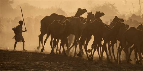 Can You Have Multiple Camel Contexts In One App Tom Donohue
