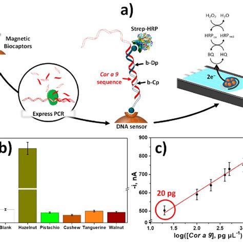 Schematic Display Of The Fundamentals Target Biomarker Extraction And Download Scientific