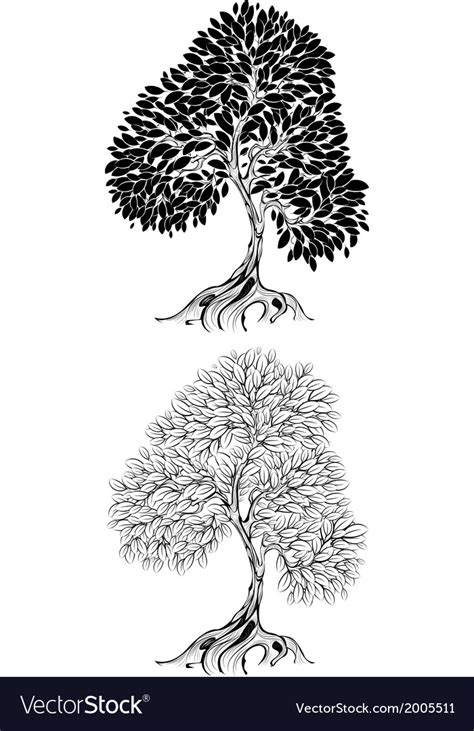 Two Contour Tree Royalty Free Vector Image Vectorstock