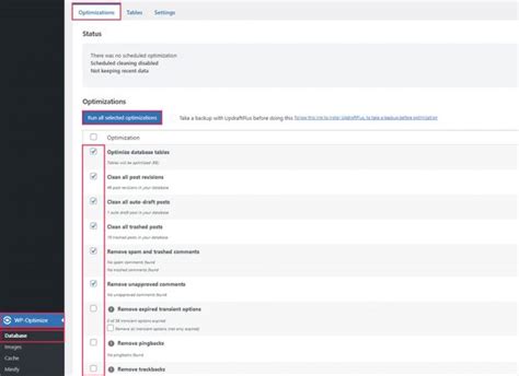 How To Optimize Wordpress Database Qode Interactive