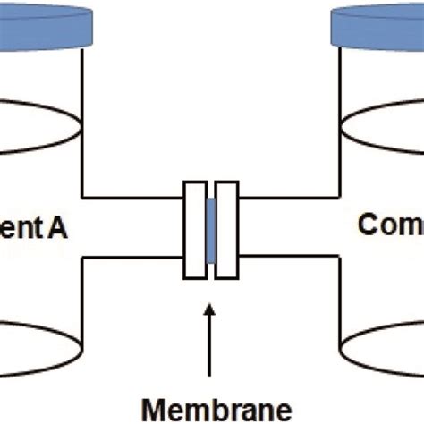 Schematic Of The Diffusion Cell Download Scientific Diagram