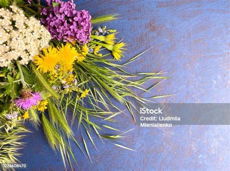 파란색 추상적 인 표면의 배경에 여러 가지 빛깔의 활기찬 야생 꽃 0명에 대한 스톡 사진 및 기타 이미지 0명 공란 구도 Istock