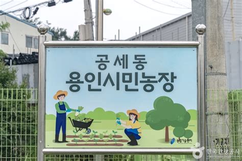 경기 용인시 에버랜드 등 숨은 명소