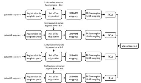 Pipeline Proposed And Tested In This Study Download Scientific Diagram
