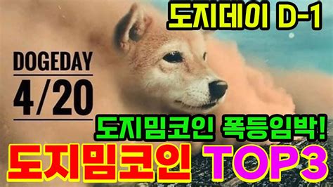 도지데이 D 1 도지밈코인 폭등임박 도지 밈코인 Top3 Youtube