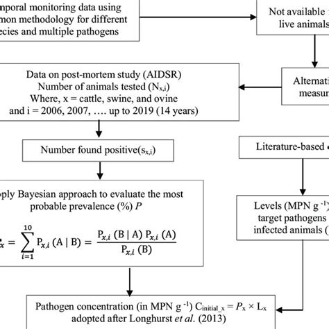 A Schematic Flow Diagram Of The Model Download Scientific Diagram