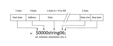Packet Configuration Of Sensor Data Download Scientific Diagram