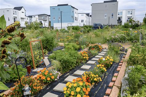 How To Start A Community Garden Step By Step Guide