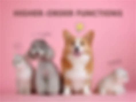 what are higher order functions hof applications and benefits