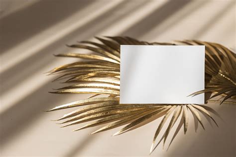 베이지 색 파스텔 배경에 황금 손바닥 잎초대 카드 모형 상단 보기 플랫 레이 복사 공간 브랜딩 및 광고를 위해 백서의 템플릿 공백 0명에 대한 스톡 사진 및 기타 이미지