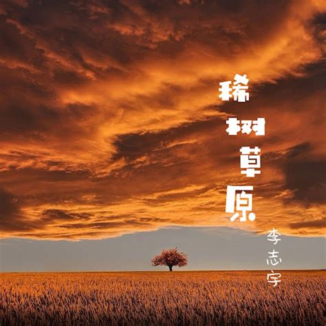 稀树草原 Youtube Music