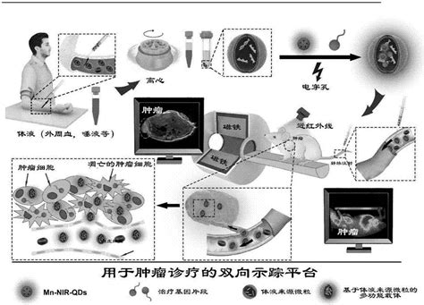 Multifunctional Carrier Based On Cytogenic Vesicle In Body Fluid